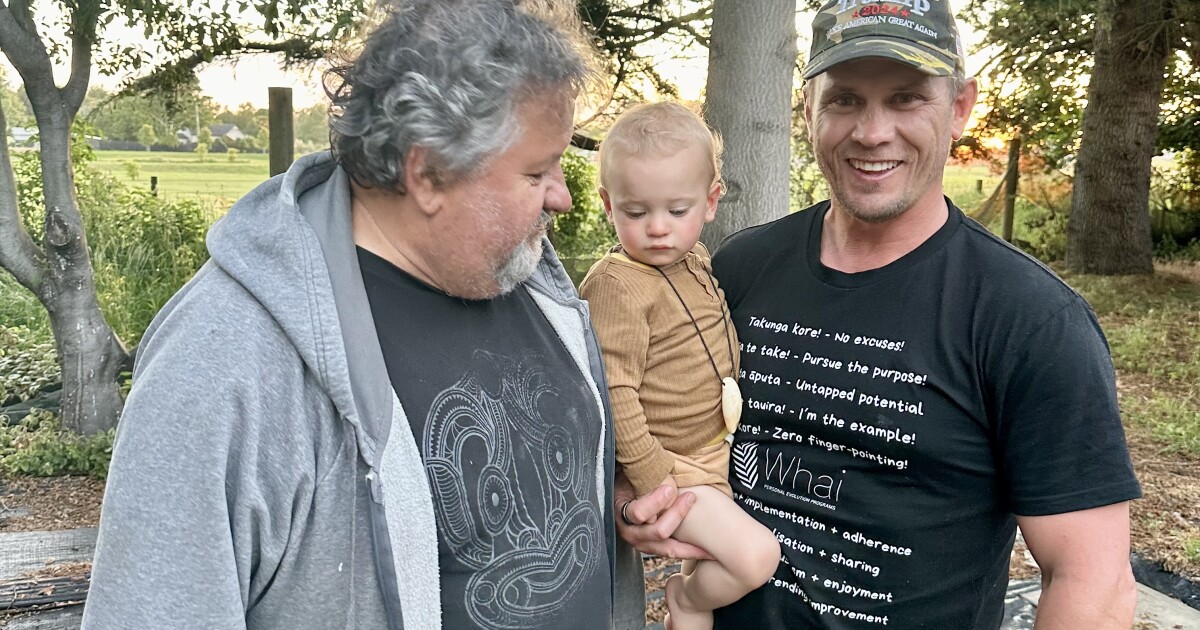 He Taonga Tukuiho - Amohia