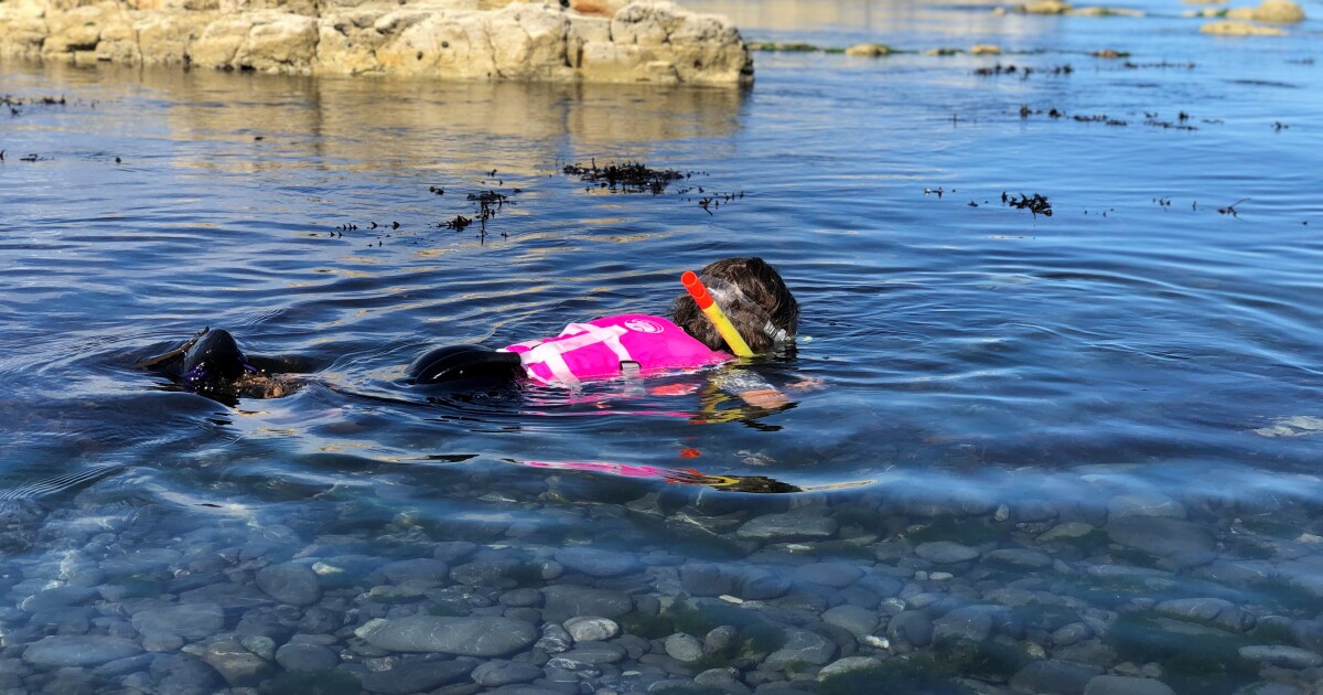 Hononga - Connection: with Mother Nature - Amohia